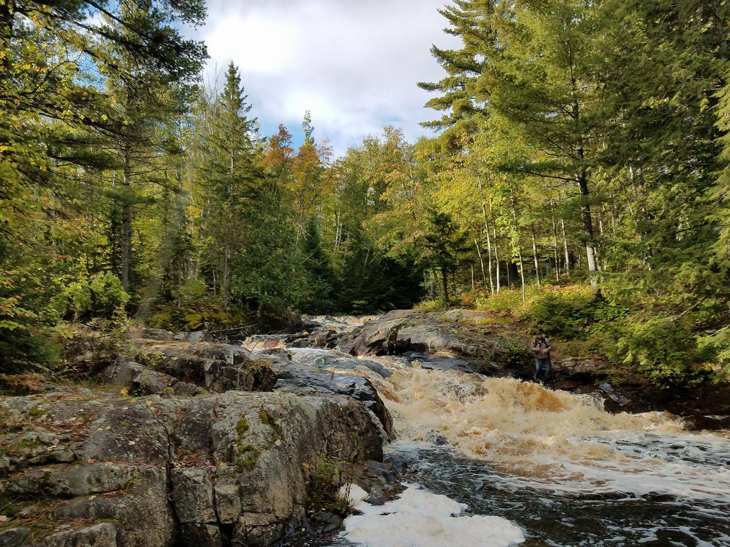 k - Upper Peninsula Animal Welfare Shelter