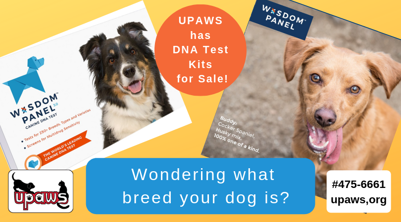 Home - Upper Peninsula Animal Welfare Shelter