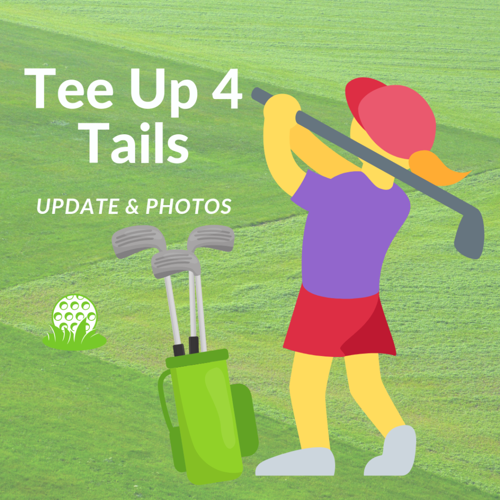 UPAWS 2019 “Tee Up 4 Tails’ a Big Success! - Upper Peninsula Animal ...
