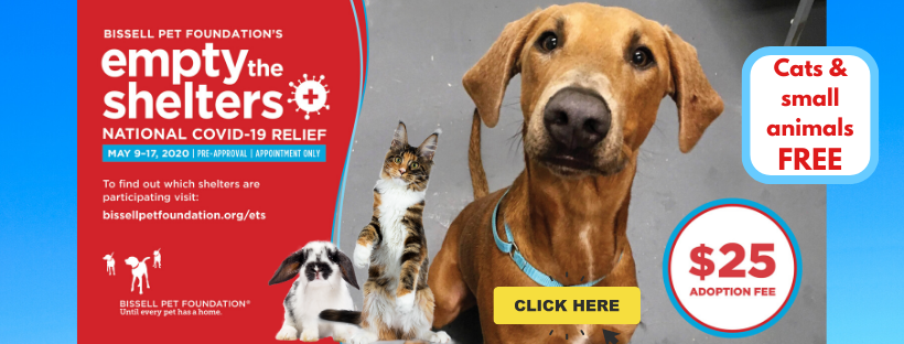 Home - Upper Peninsula Animal Welfare Shelter